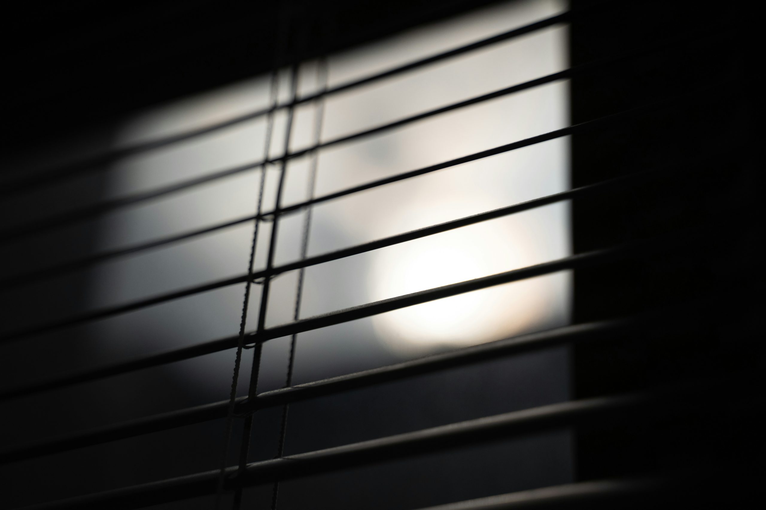 12 Facts About Roller Shutters in Singapore - Business Blog